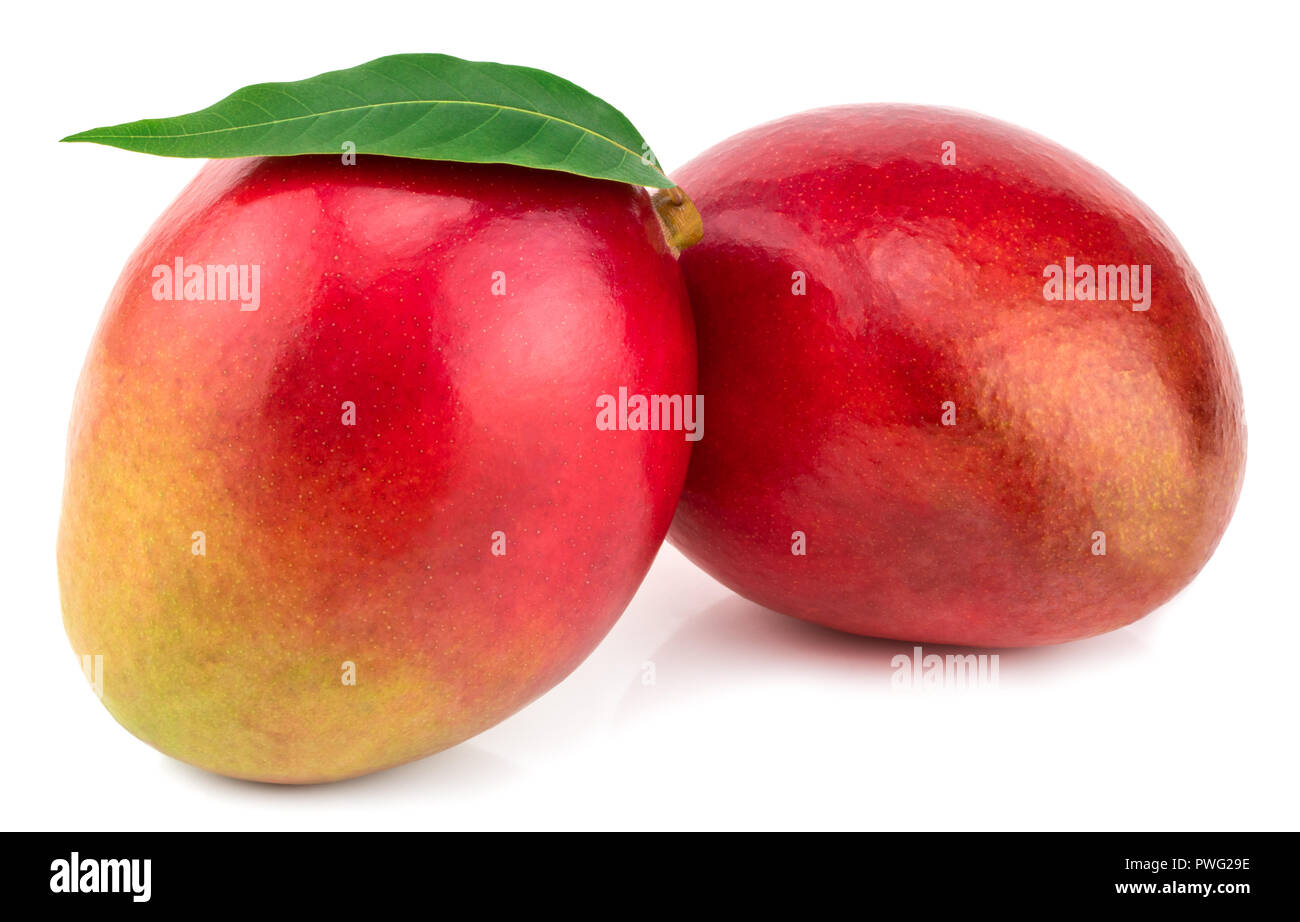 Two whole mangoes with green leaf isolated on white background Clipping ...