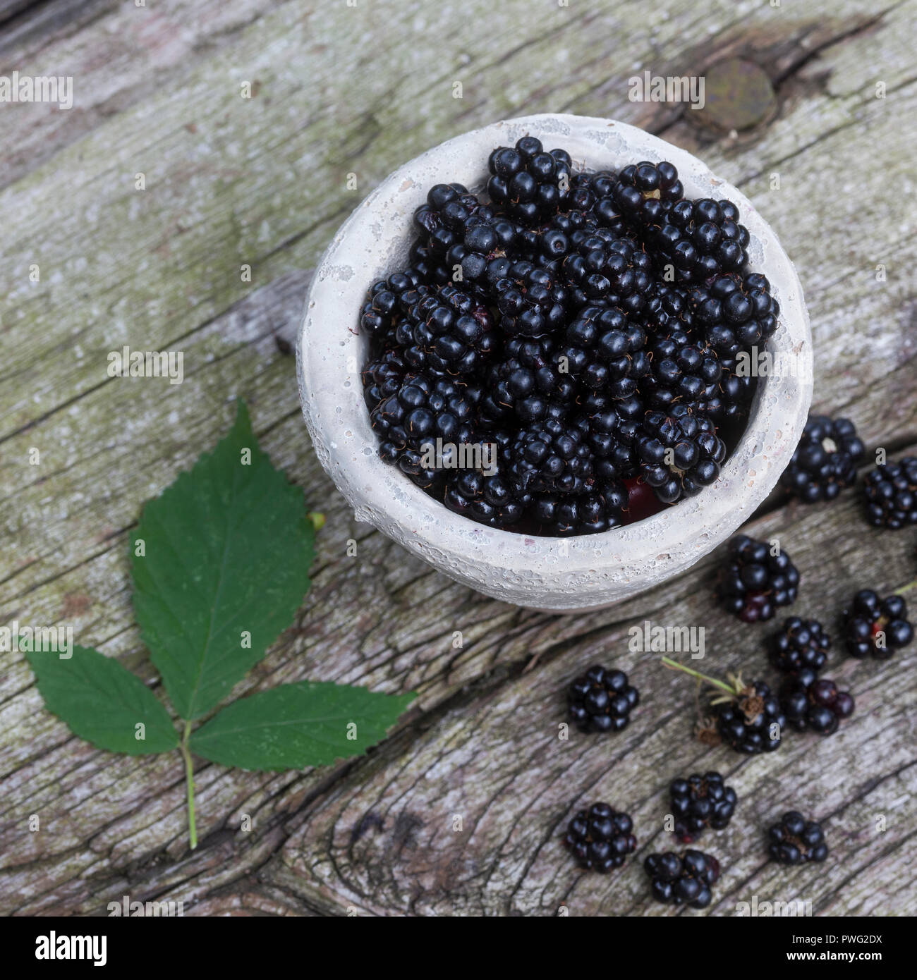 Bramble fruit hi-res stock photography and images - Alamy