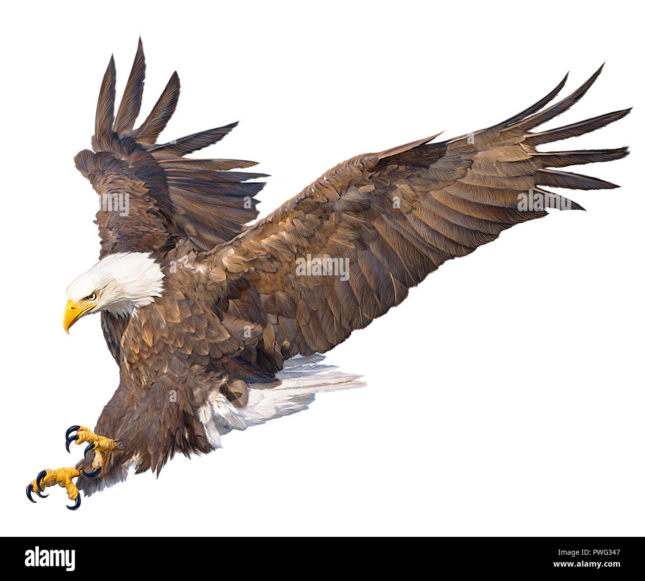 Bald Eagle Cut Out Stock Images & Pictures - Alamy