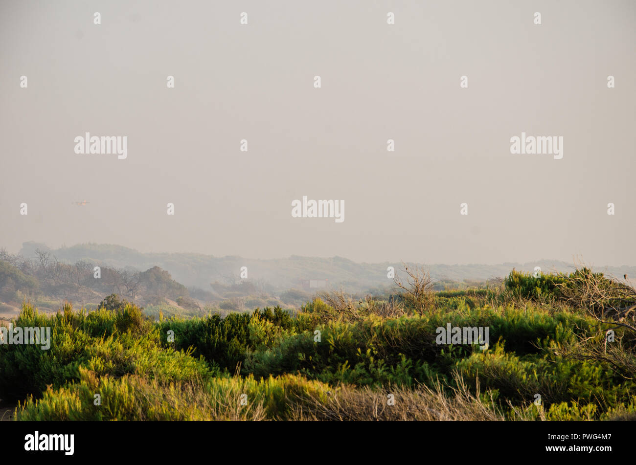 Firefighting aircraft hi-res stock photography and images - Alamy