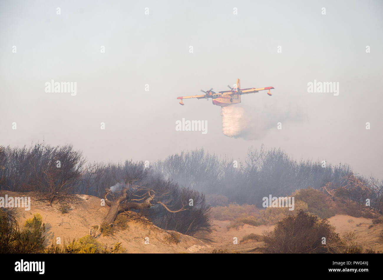 firefighting aircraft, canadair in action, throwing water into the fire ...