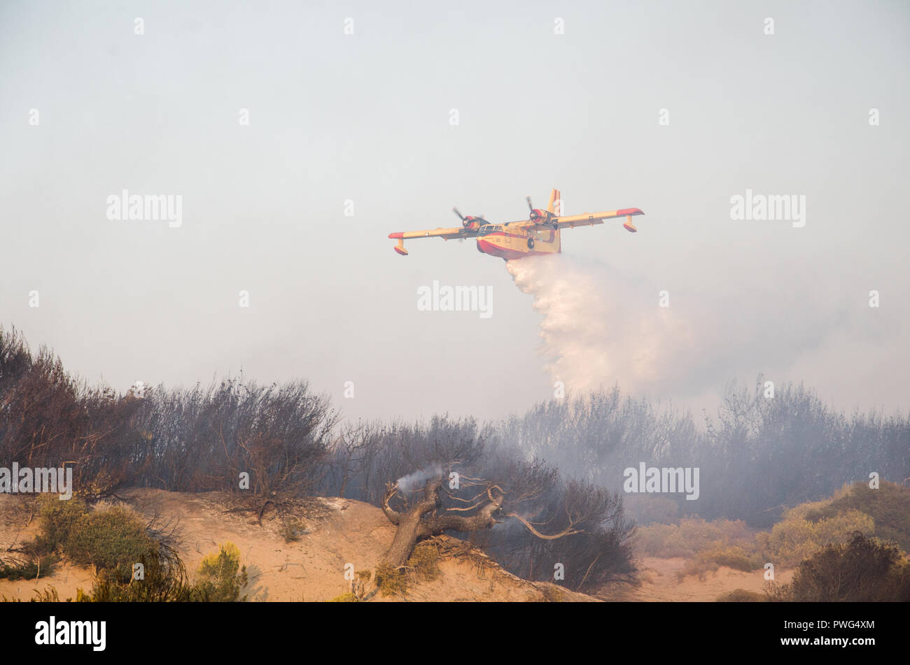 firefighting aircraft, canadair in action, throwing water into the fire ...