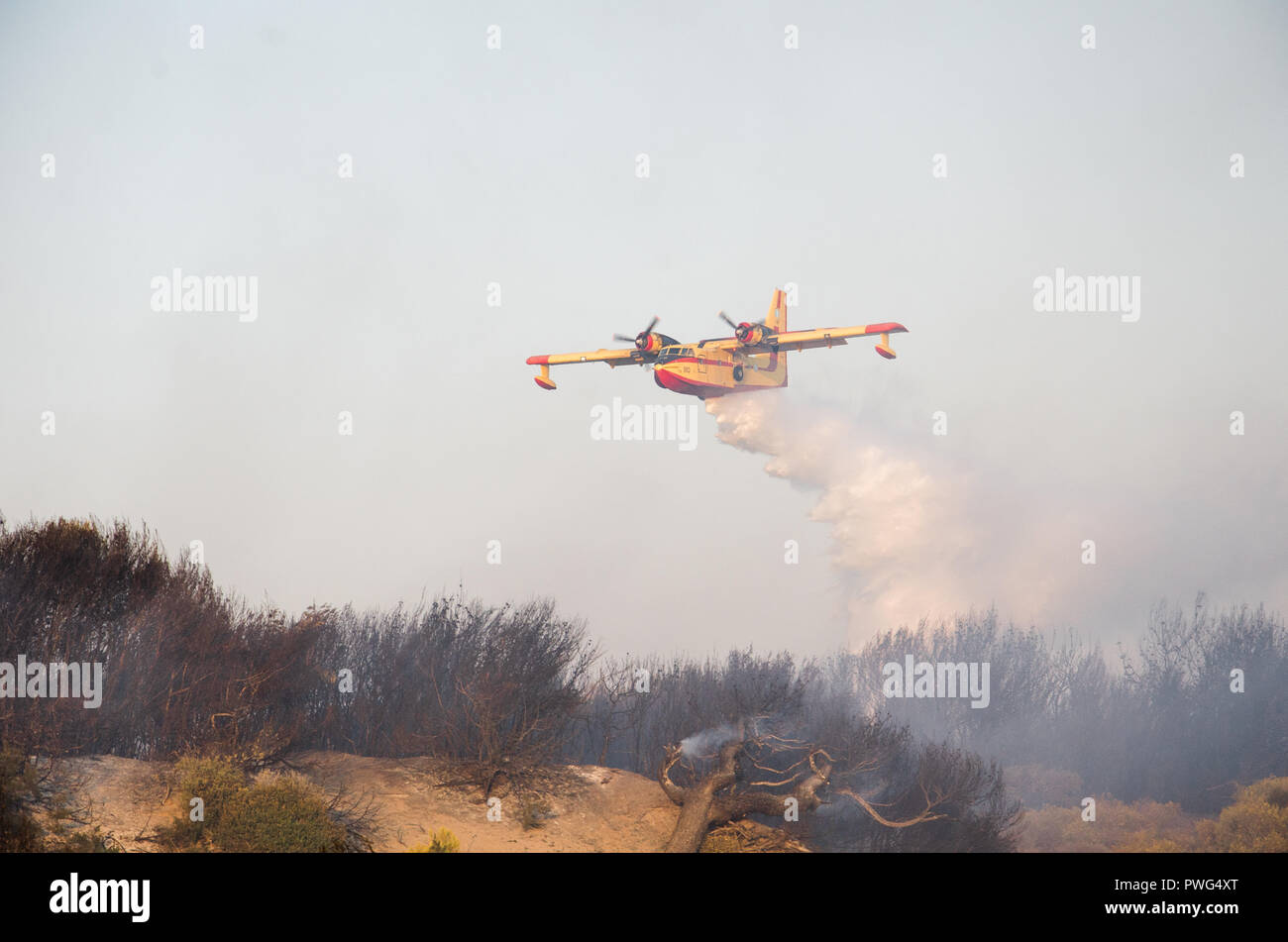 firefighting aircraft, canadair in action, throwing water into the fire ...