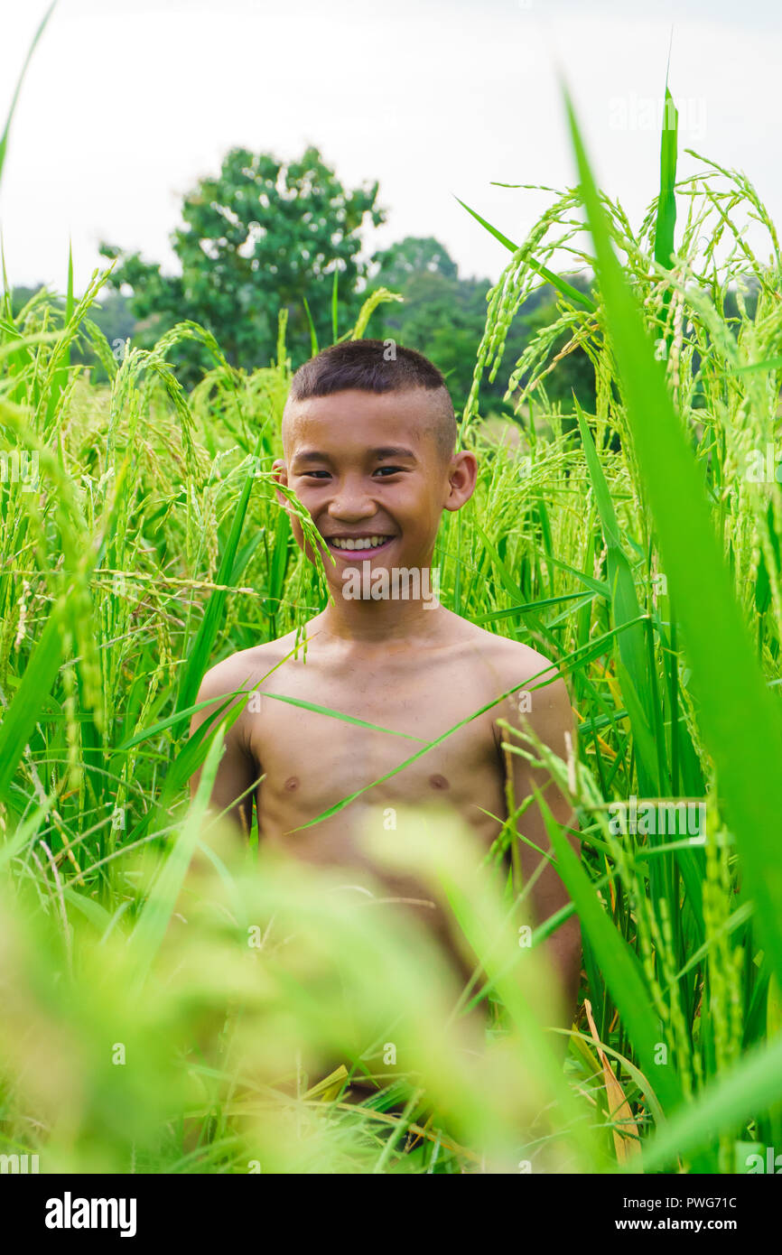 Rural children are enjoying the rice field Stock Photo - Alamy