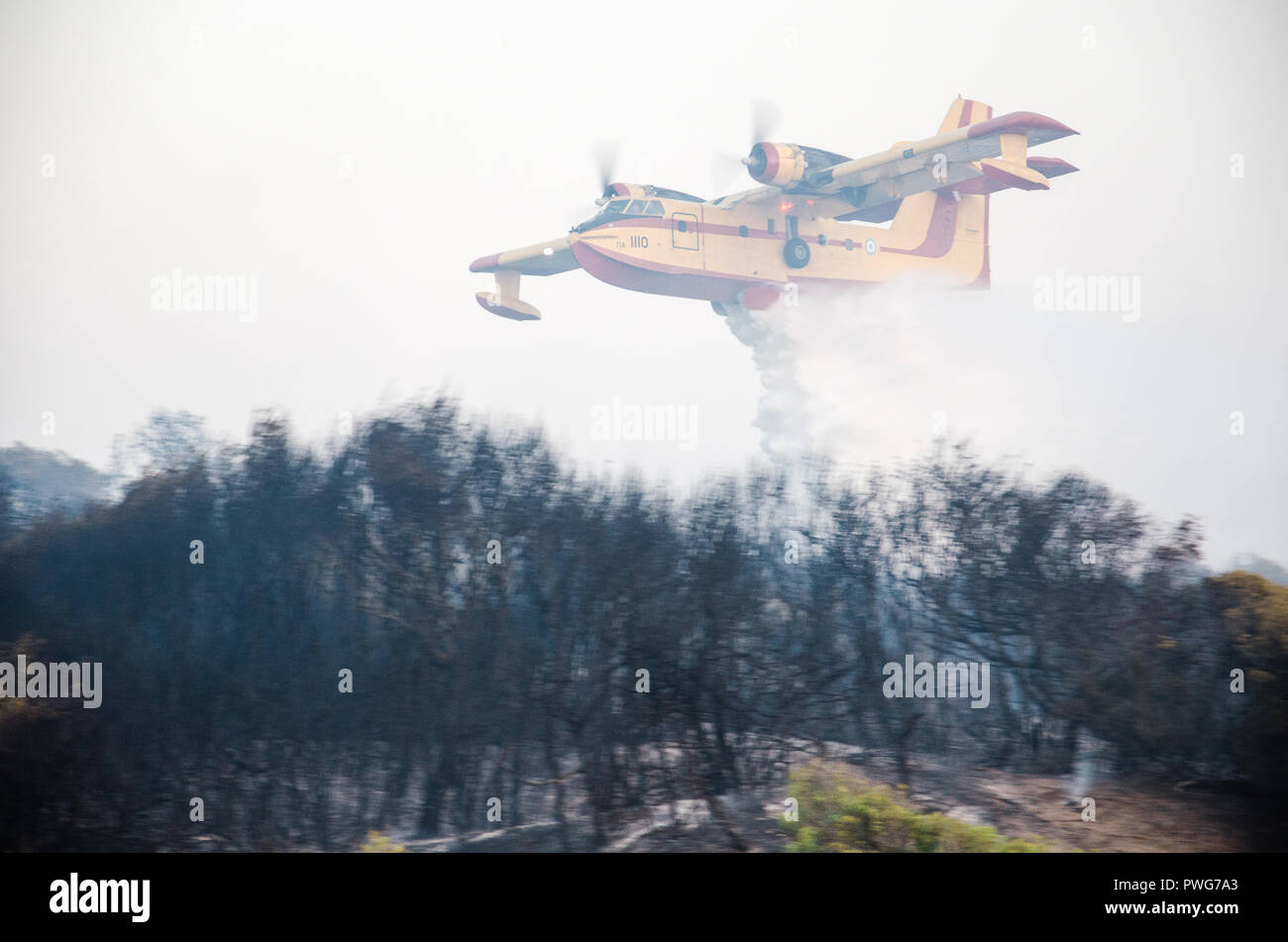 firefighting aircraft, canadair in action, throwing water into the fire ...
