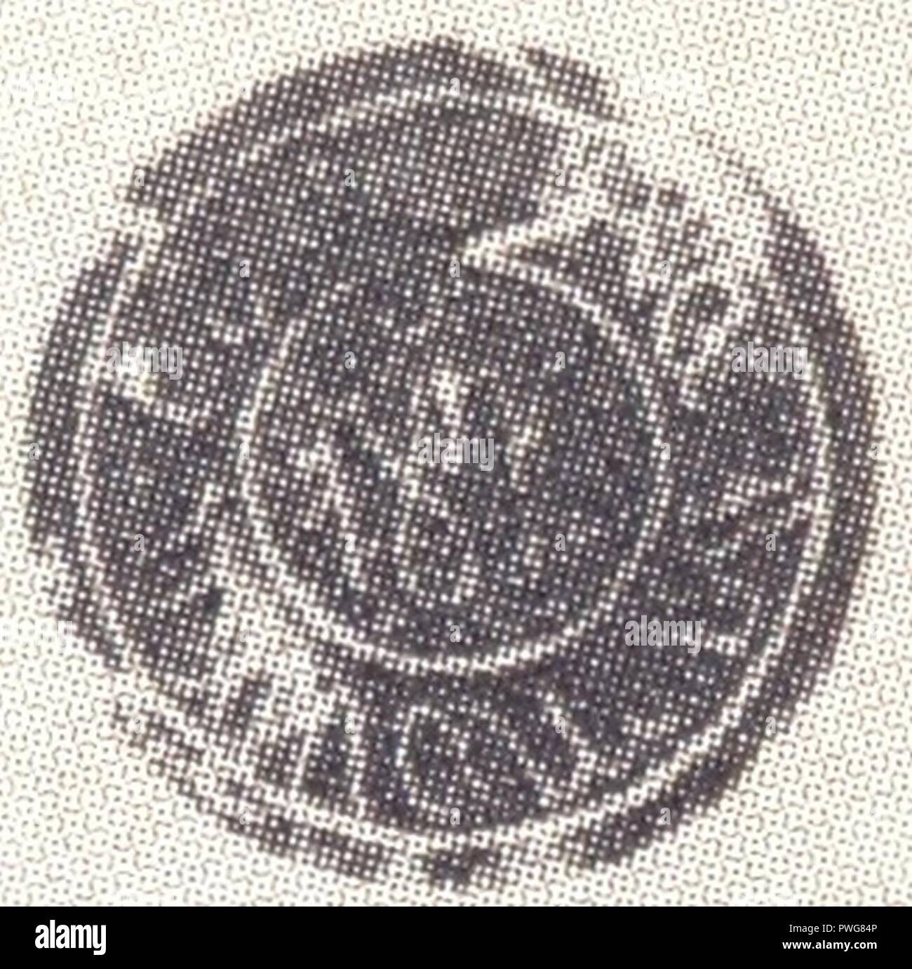 Bulgarian Macedonian Memorandum to the Great Powers 1878 Radovish Seal ...