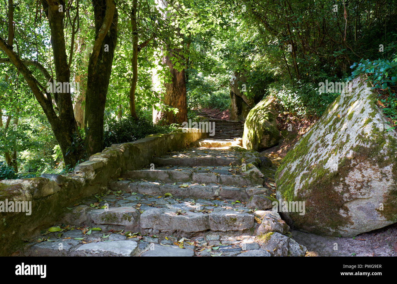 The bowery pedestrian route through a forest of chestnut, oak trees and ...