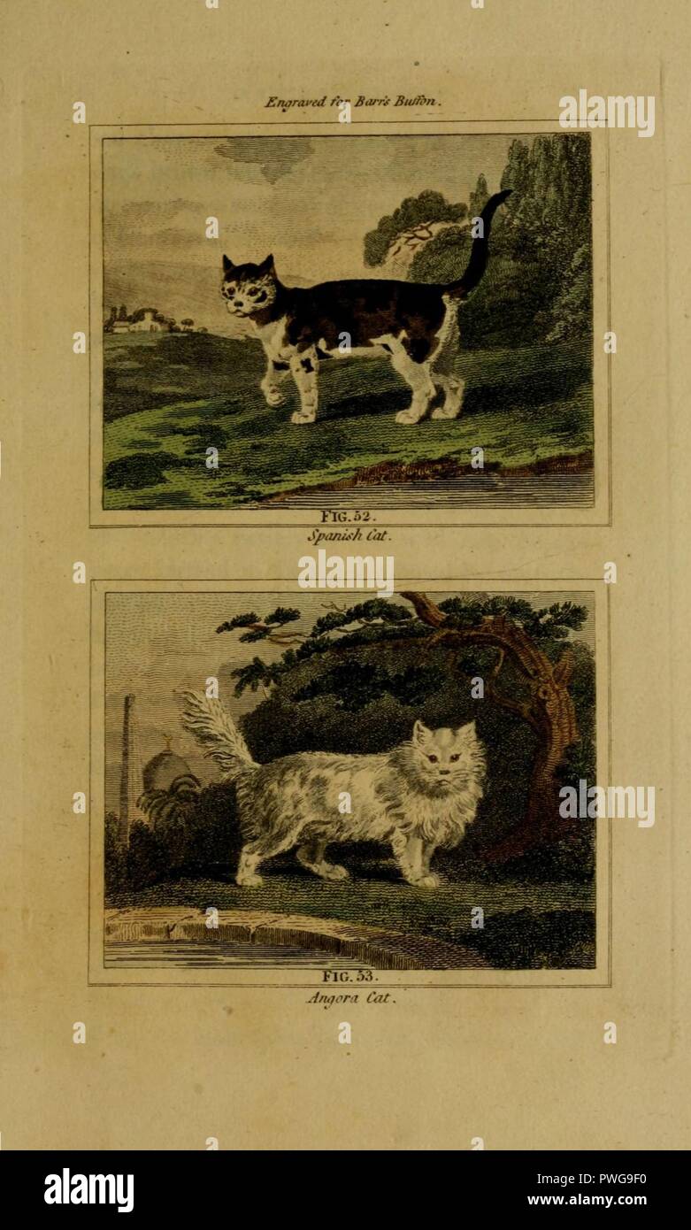 Buffons natural history hi-res stock photography and images - Alamy