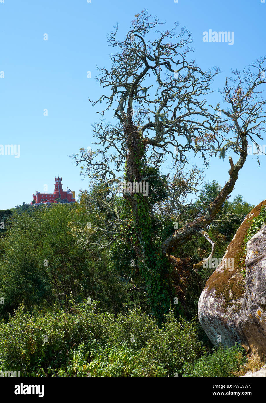 Pena Palace - a Romanticist, colourful castle in the Sintra Mountains ...