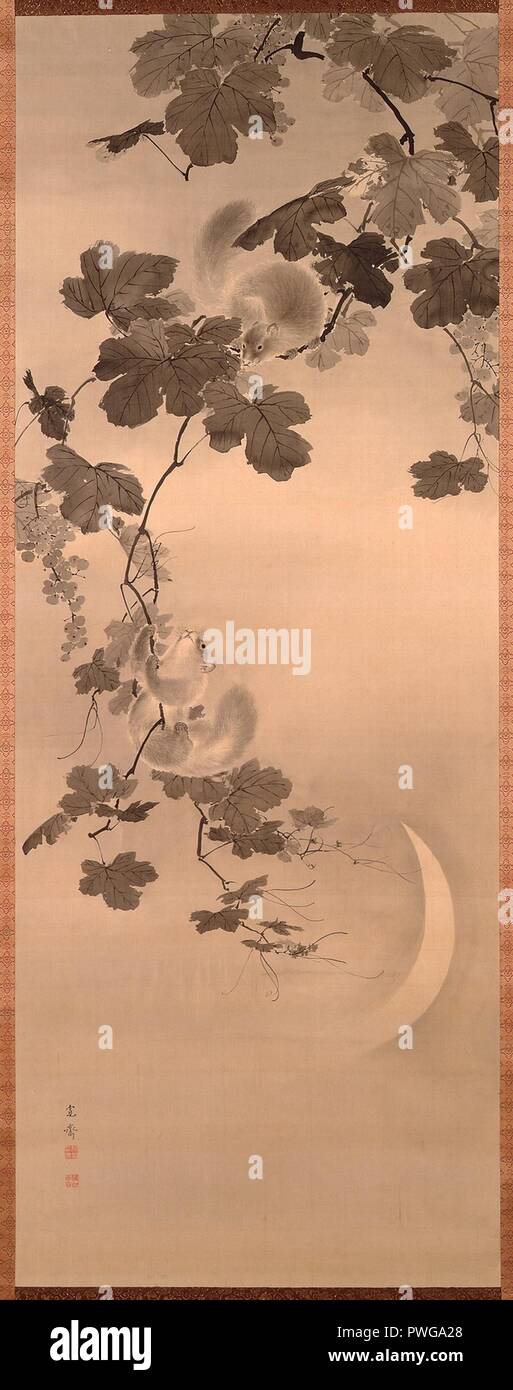 Risu hi-res stock photography and images - Alamy