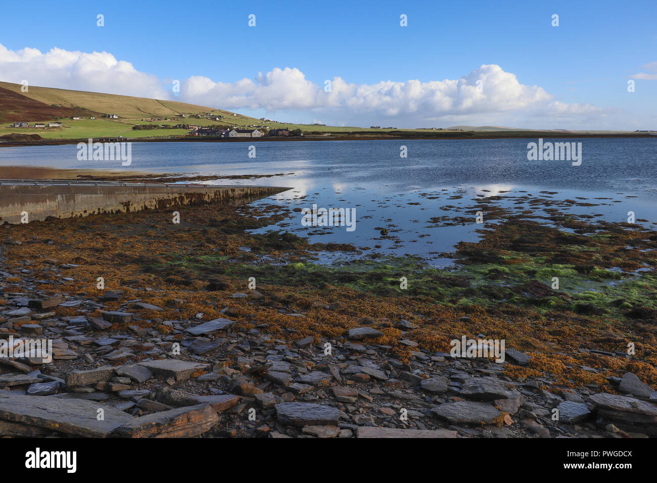 Rocky beach and boat ramp revealed at low tide on the Bay of Firth ...