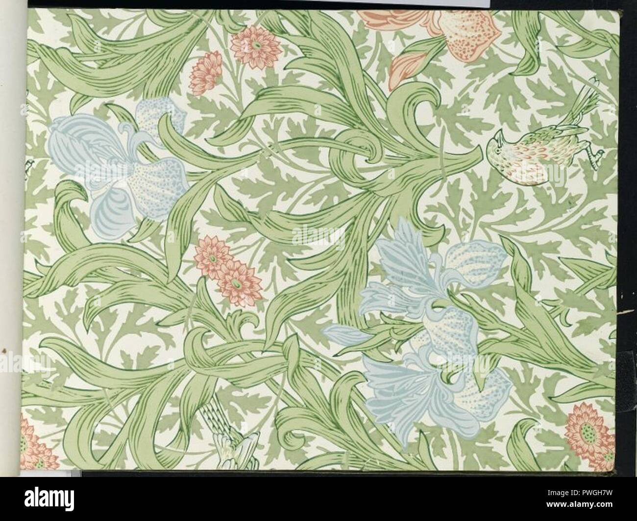 William morris wallpaper hi-res stock photography and images - Alamy