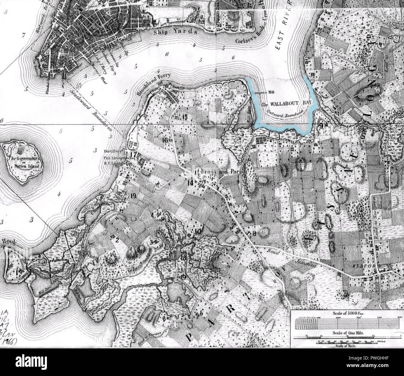 Wallabout bay hi-res stock photography and images - Alamy