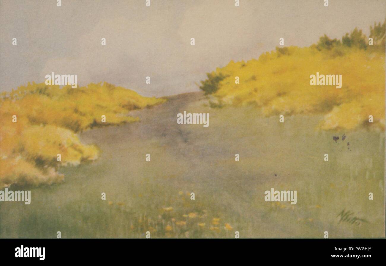 Victoria broom hi-res stock photography and images - Alamy