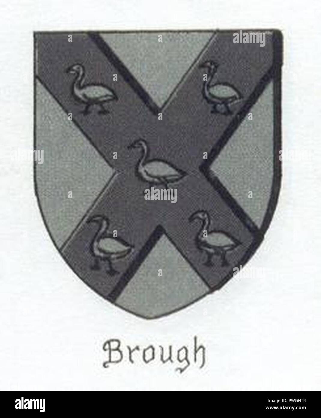 Family shield hi-res stock photography and images - Alamy