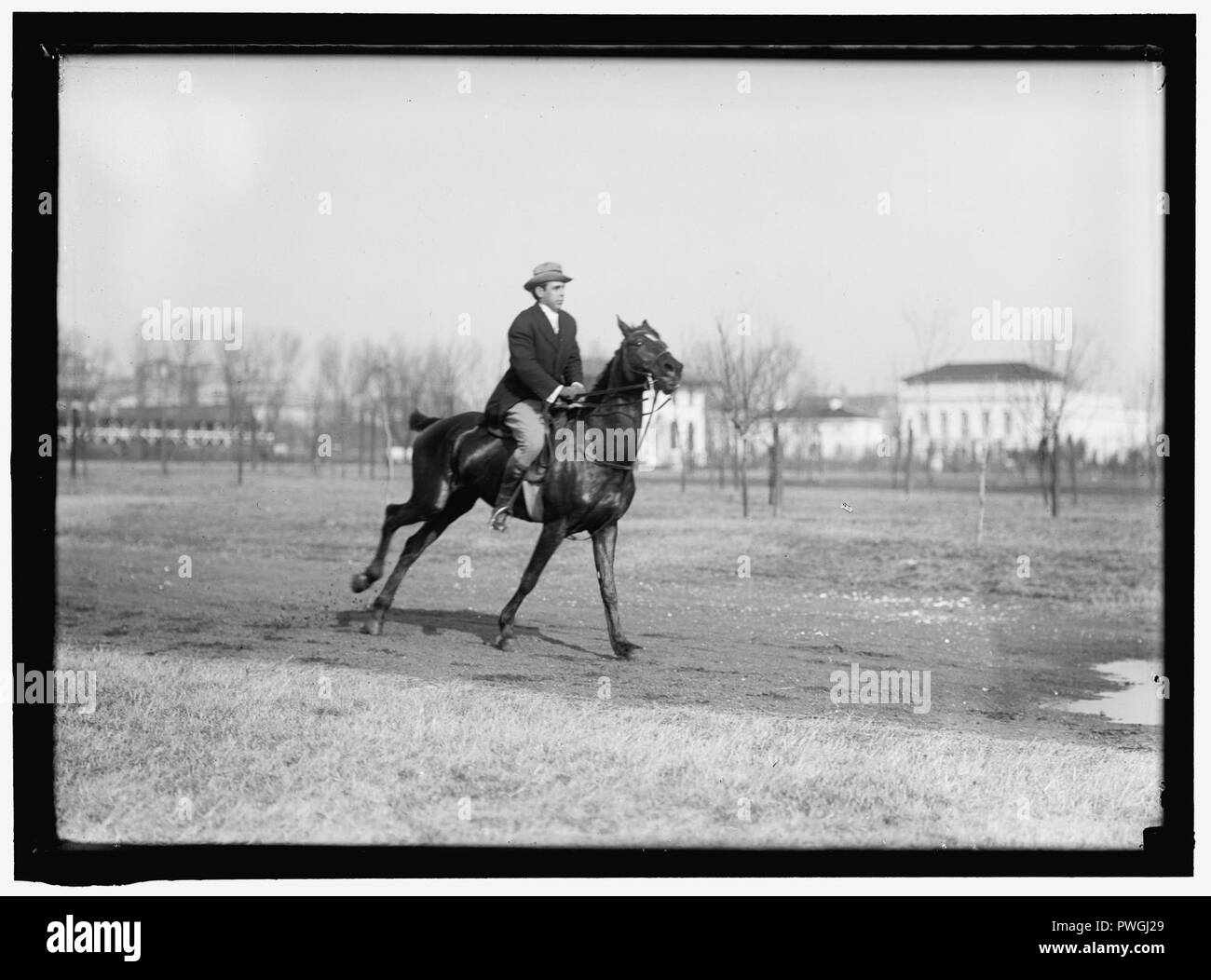 Wrisley brown hi-res stock photography and images - Alamy