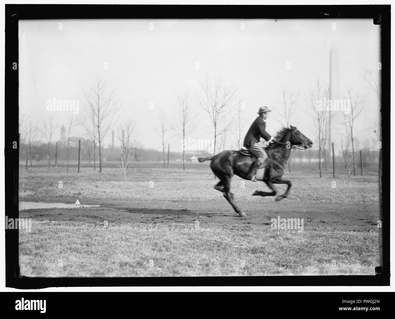 Wrisley hi-res stock photography and images - Alamy