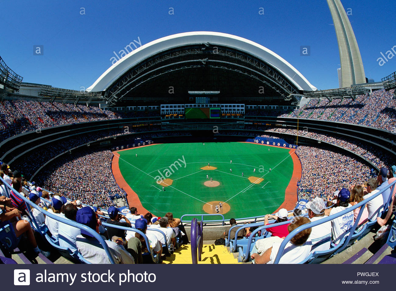 Toronto Blue Jays Fan High Resolution Stock Photography and Images - Alamy