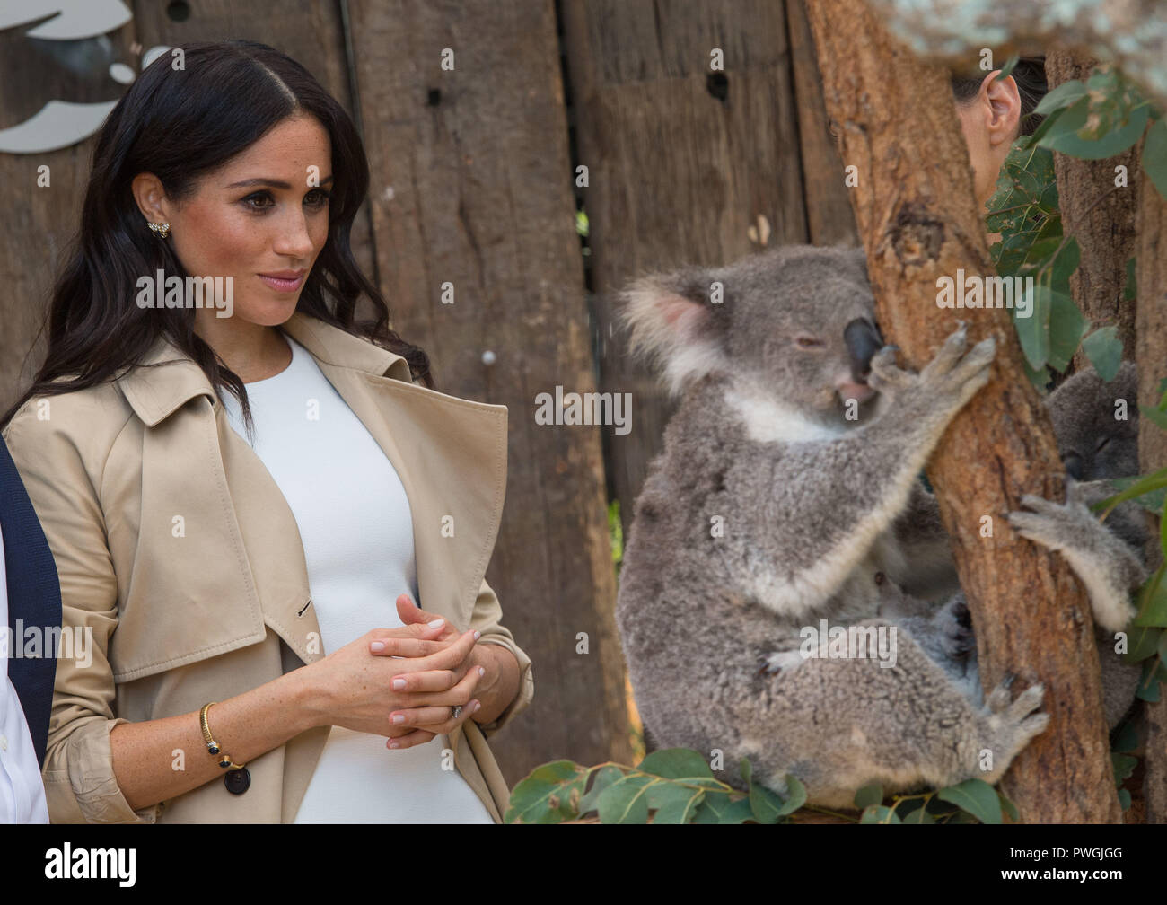 PICTURE RE-TRANSMITTED WITH CORRECT CAPTION INFO The Duchess of Sussex ...