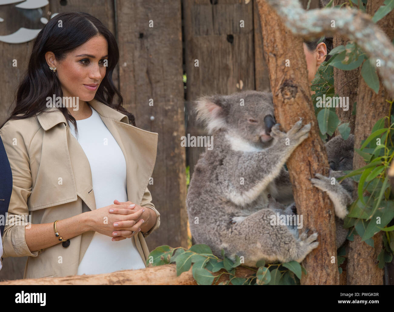PICTURE RE-TRANSMITTED WITH CORRECT CAPTION INFO The Duchess of Sussex ...