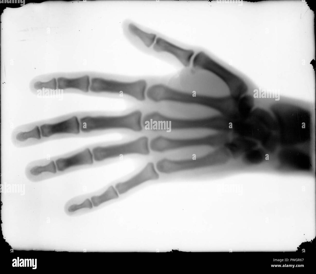 Buckwalter hi-res stock photography and images - Alamy