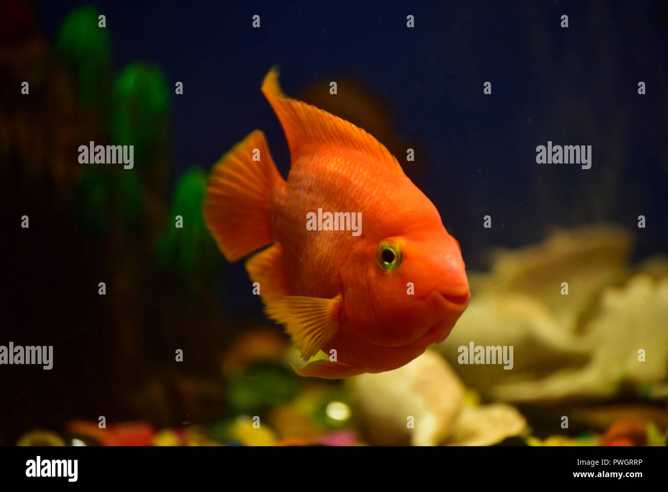 Float tank hi-res stock photography and images - Alamy