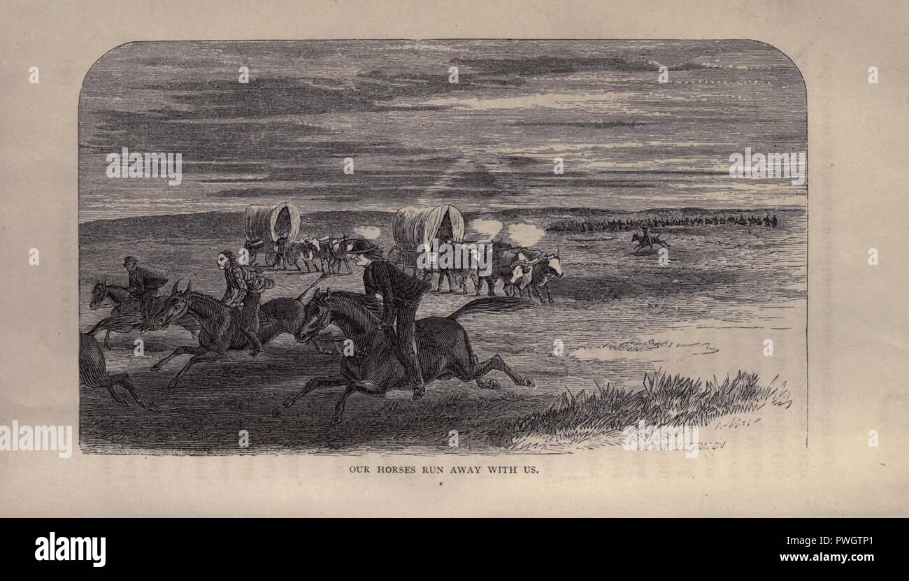 Buffalo land (Page 157 Stock Photo - Alamy