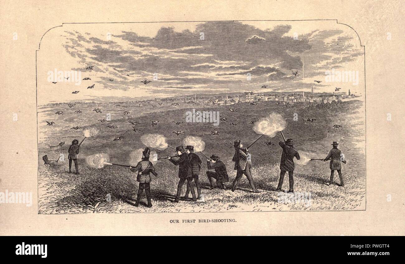 Buffalo land- an authentic narrative of the adventures and ...