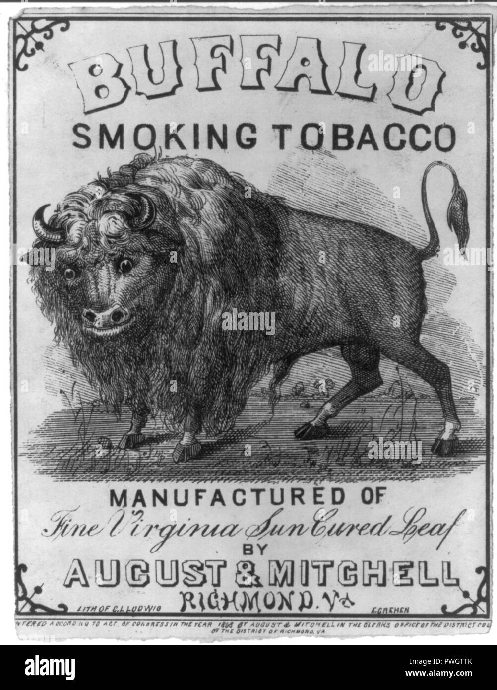 Buffalo Smoking Tobacco Stock Photo - Alamy