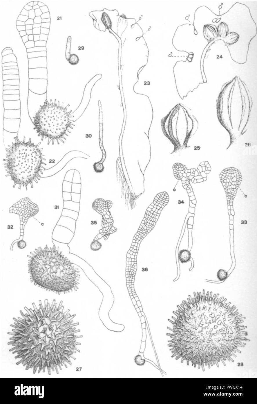 Bot image Black and White Stock Photos & Images - Alamy