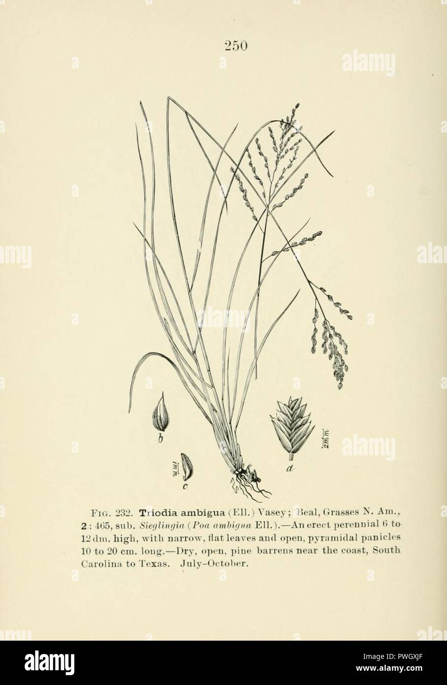 Page250