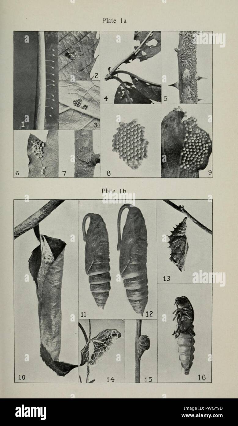 Bulletin - State Geological and Natural History Survey of Connecticut ...