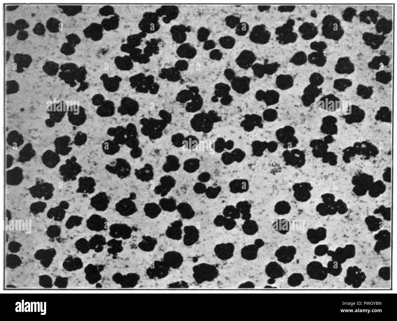 Quartz porphyry Black and White Stock Photos & Images - Alamy