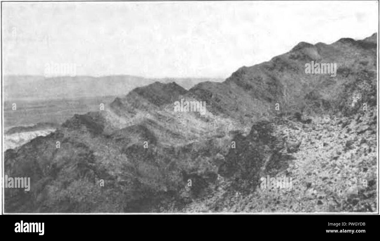 Bulletin 798 Plate5A Muddy Peak Limestone Stock Photo - Alamy