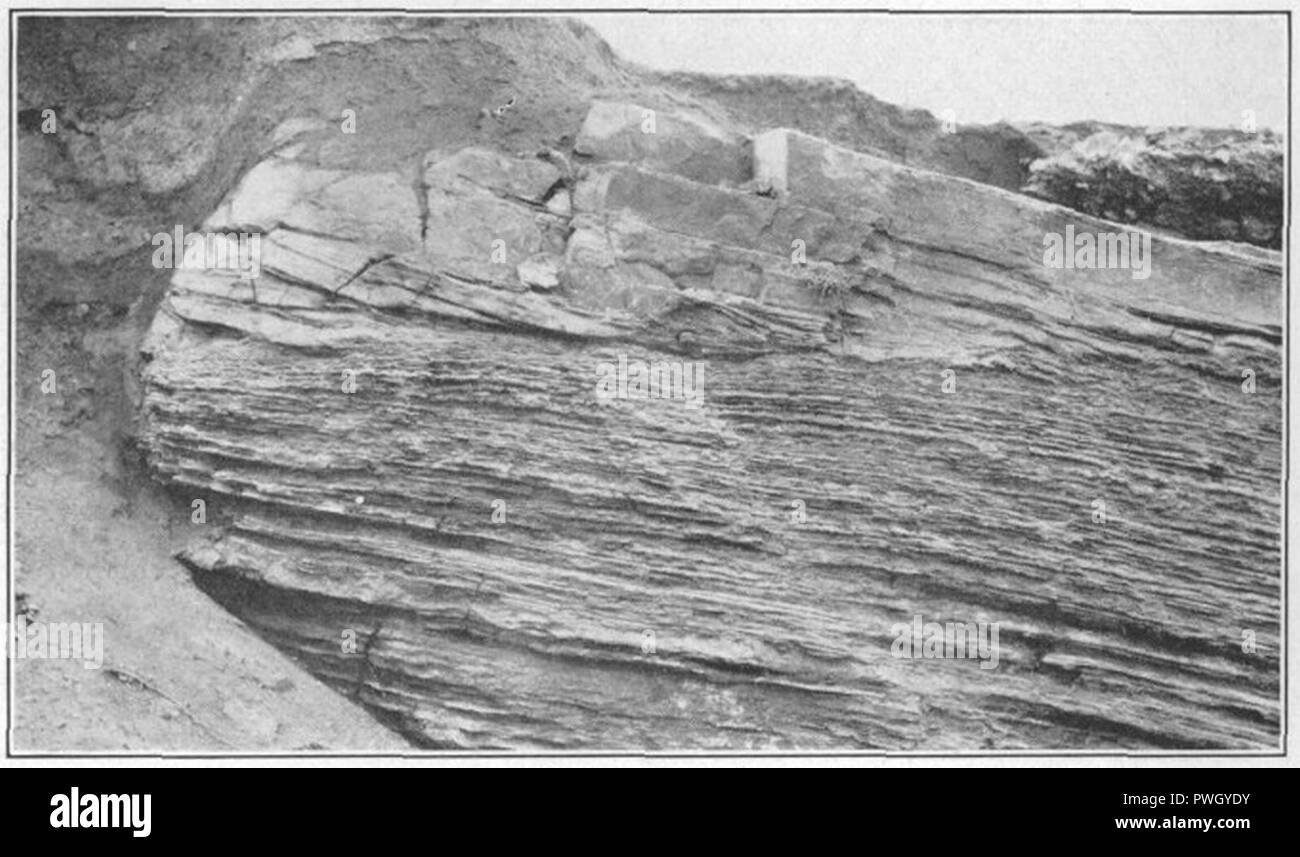 Bulletin 799 Plate 5A Conestoga Limestone Stock Photo - Alamy