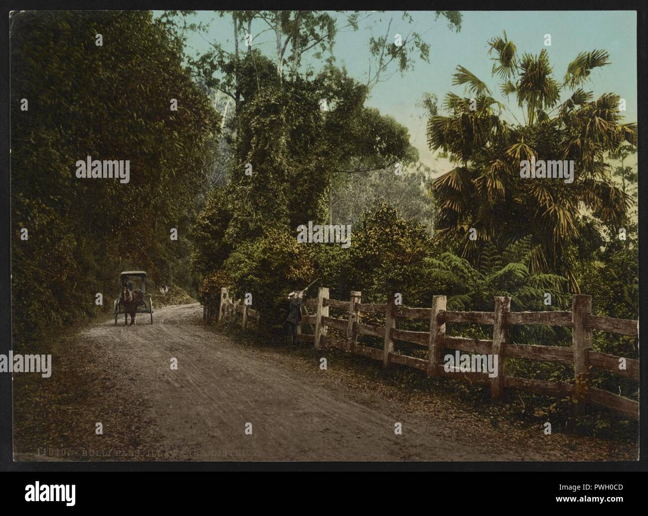 Bulli Pass High Resolution Stock Photography and Images - Alamy