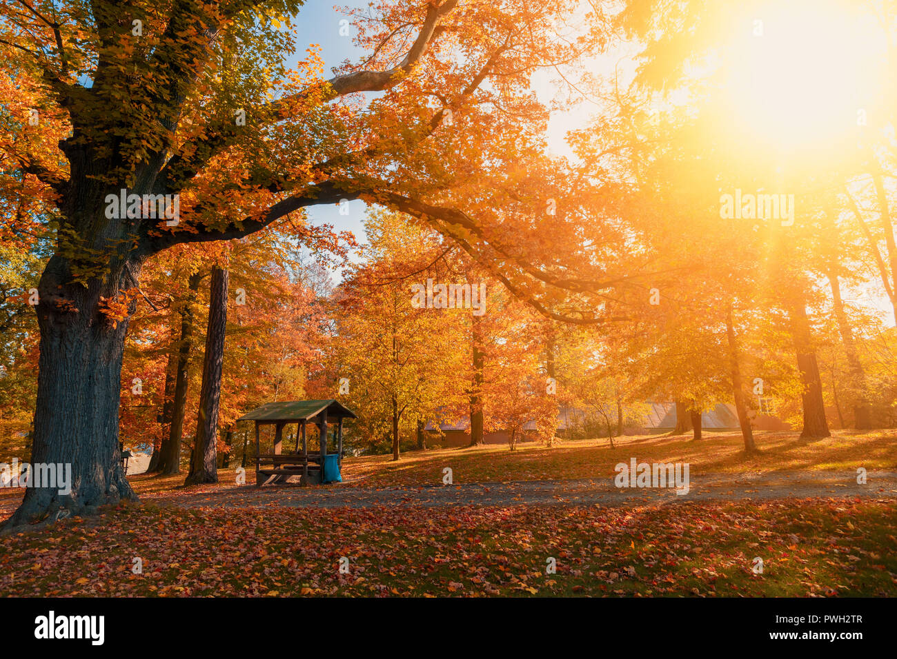 Beautiful and romantic fall colored park with colorful trees and ...