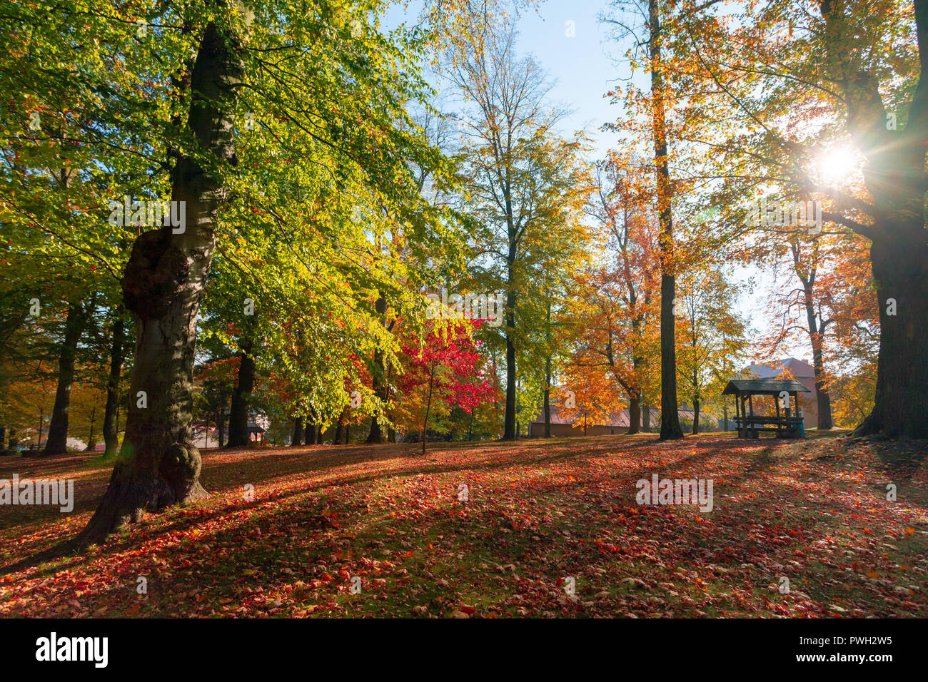 Beautiful and romantic fall colored park with colorful trees and ...