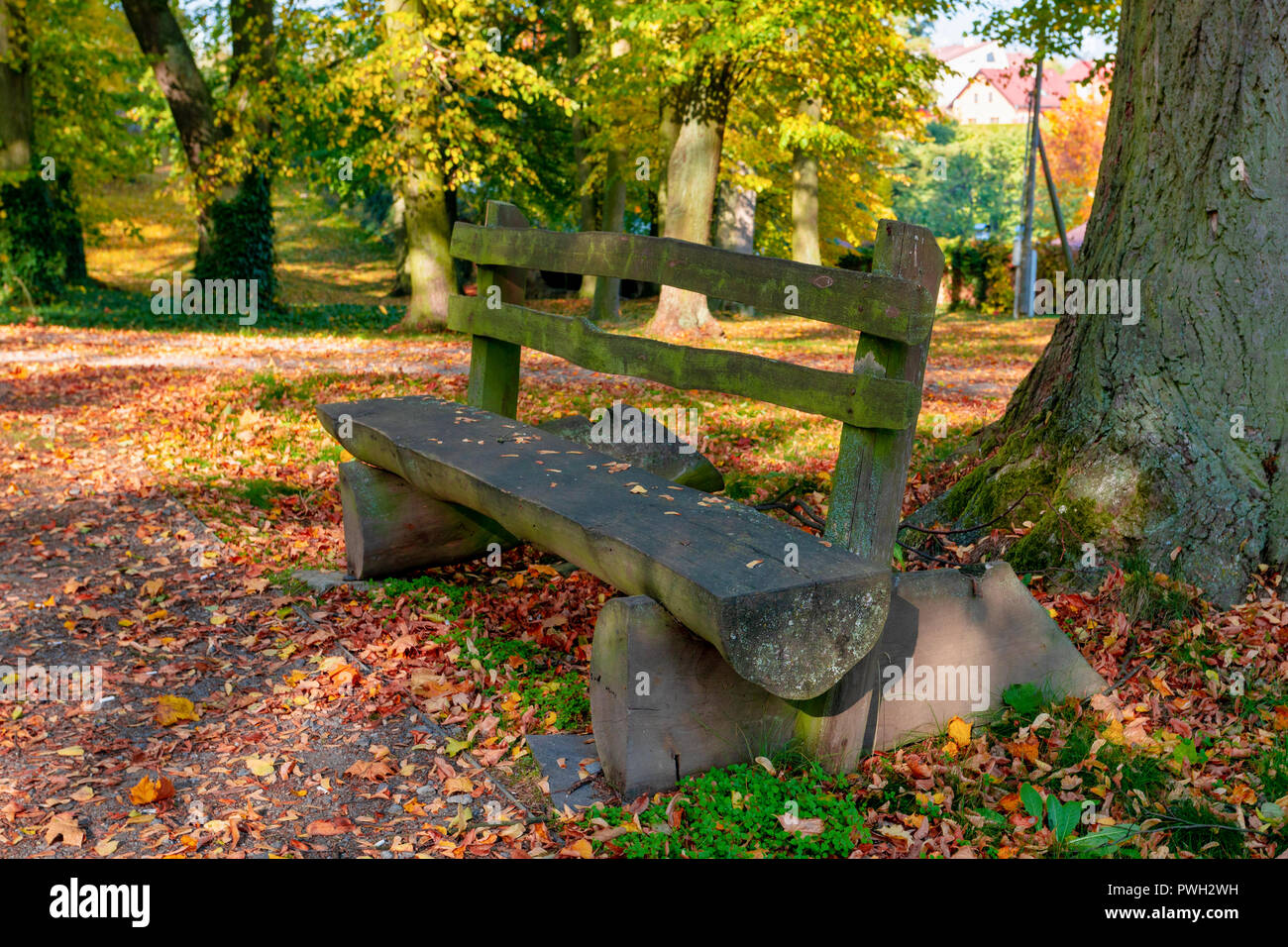 Beautiful and romantic fall colored park with colorful trees and ...