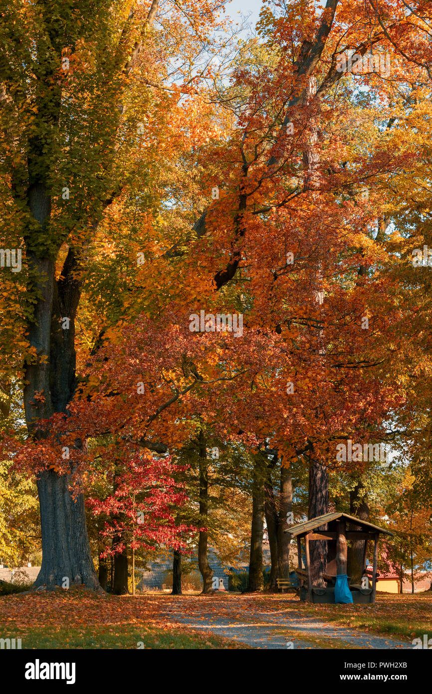 Beautiful and romantic fall colored park with colorful trees and ...