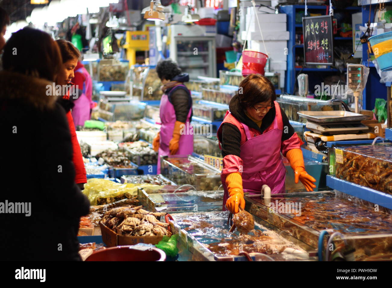 Noryangjin Fish Market in Seoul, Korea Stock Photo - Alamy