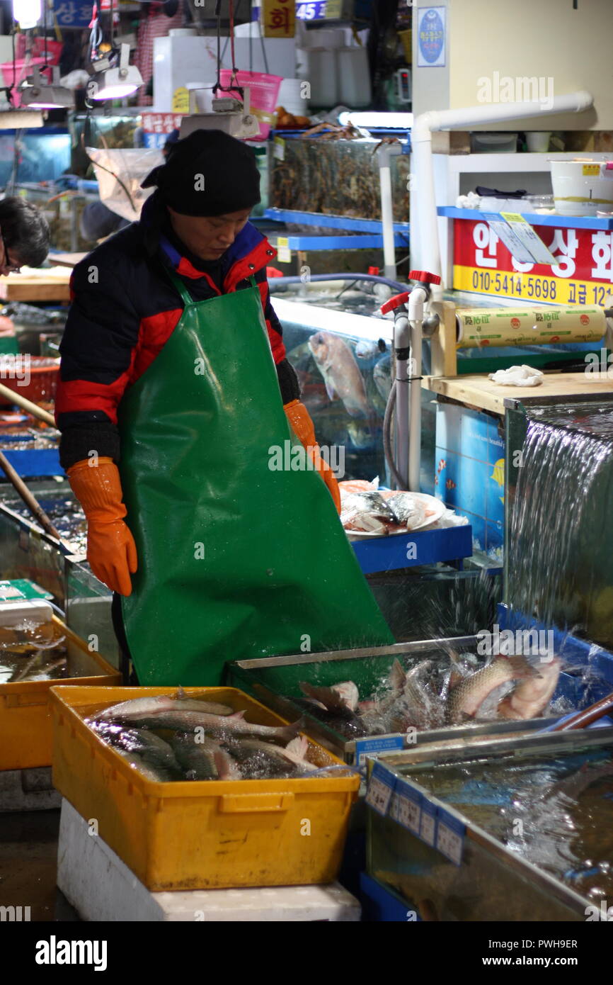 Noryangjin Fish Market in Seoul, Korea Stock Photo - Alamy