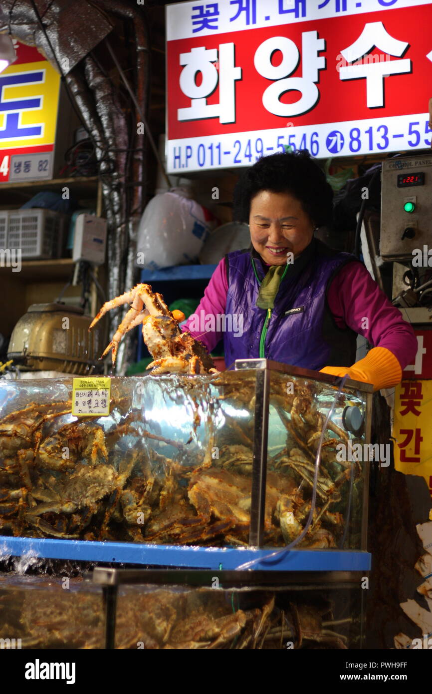 Noryangjin Fish Market in Seoul, Korea Stock Photo - Alamy