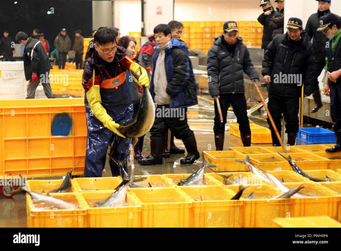 Noryangjin Fish Market in Seoul, Korea Stock Photo - Alamy