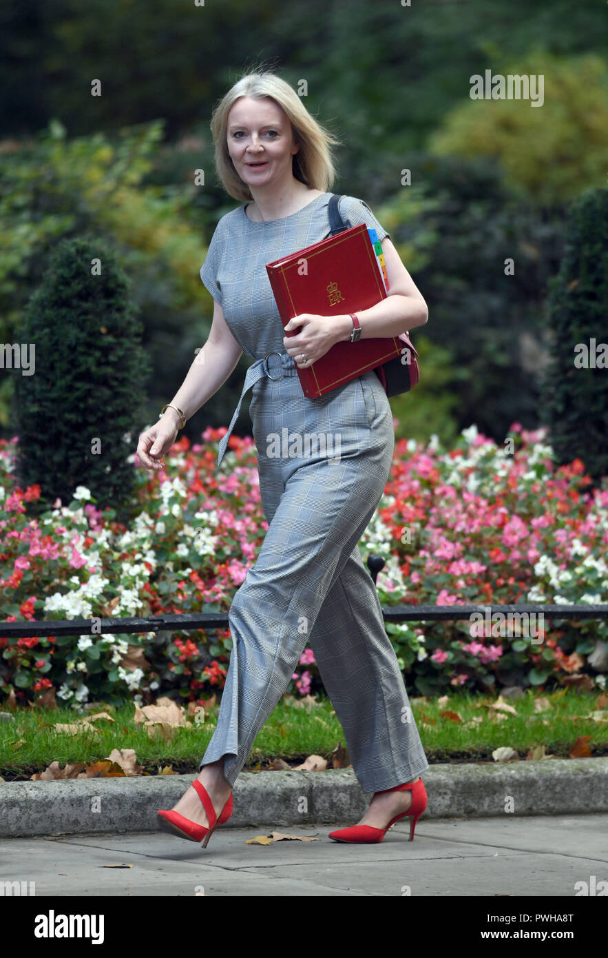 Chief Secretary to the Treasury Elizabeth Truss arrives in Downing ...