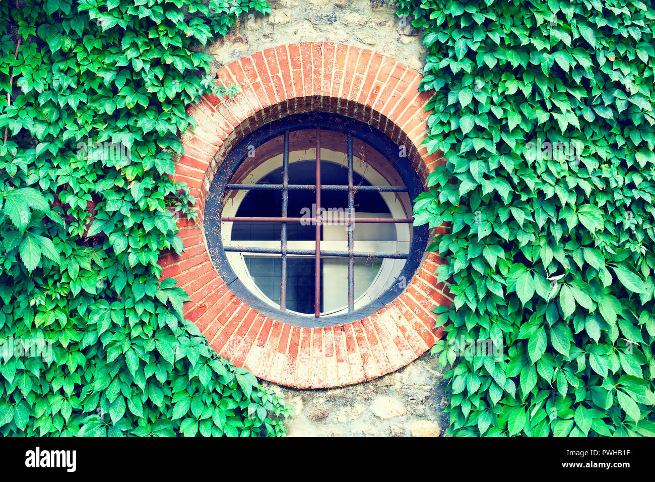 round window with bricks frame on stone facade covered by green leaves ...