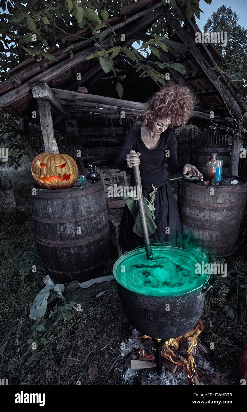 Witch boiling spells in a cast iron black pot in her shed Stock Photo ...