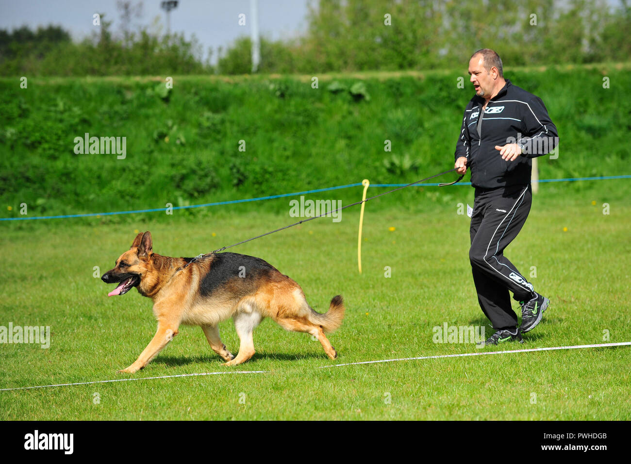 German shepherd dog and handler Stock Photo - Alamy