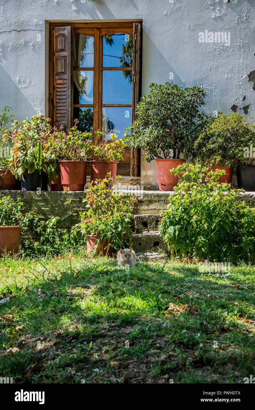 Tsagkarada hi-res stock photography and images - Alamy