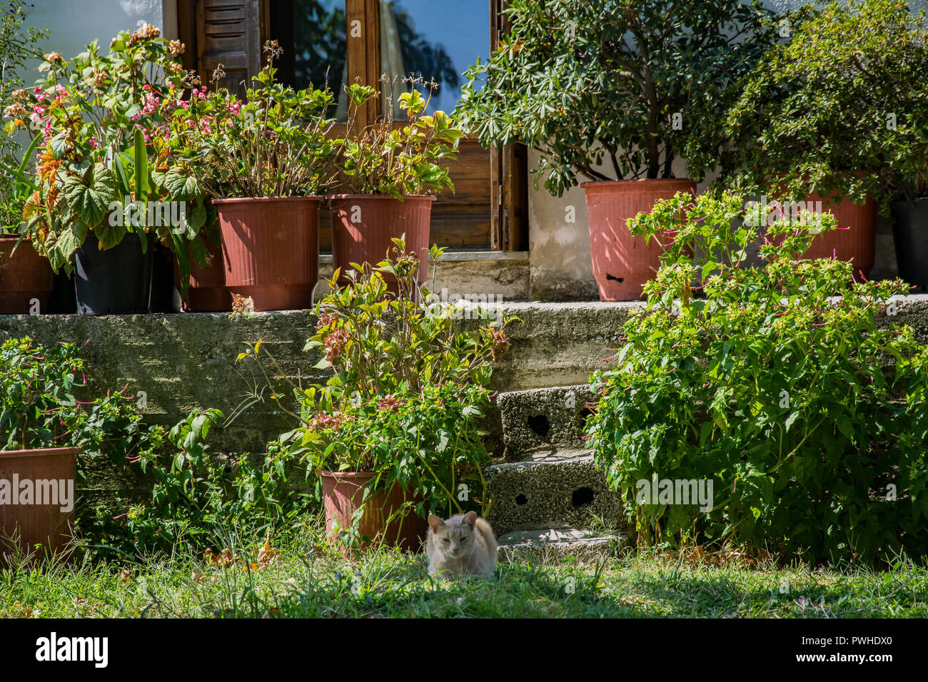 Tsagkarada, Pelion, Greece Stock Photo - Alamy